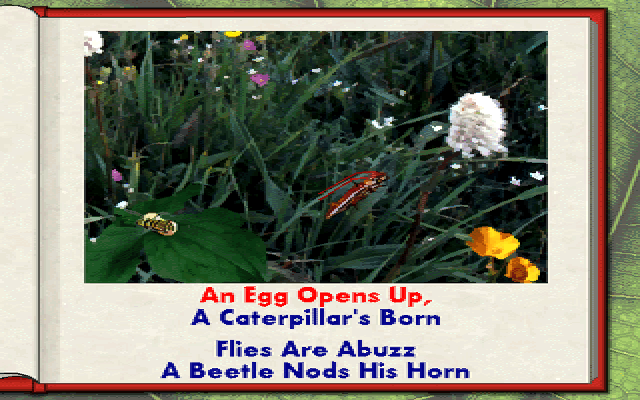 Bug Adventure - Old Games Download