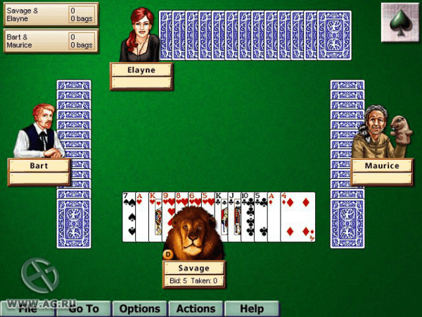 Hoyle Classic Card Games (1997) - Old Games Download